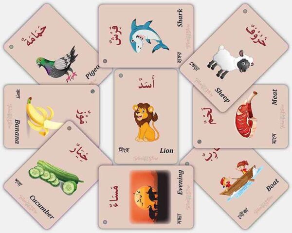 TownStore Early learning Arabic Activity Flash Cards for Ages 3+ Kids ...
